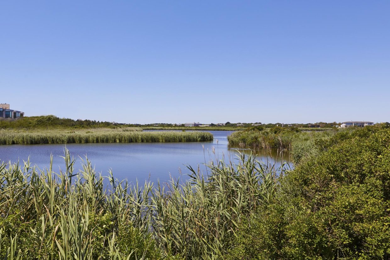 Jule Pond - Hamptons Real Estate